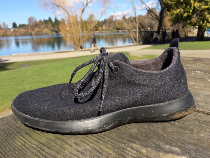 Allbirds Wool Runners: The best shoes ever? – Snarky Nomad